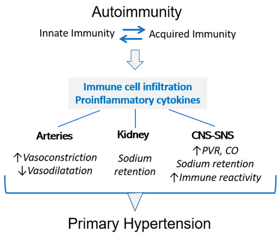 HSP70 and Primary Arterial Hypertension