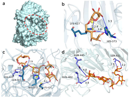 Molecular Docking and Site-Directed Mutagenesis of GH49 Family ...