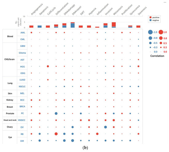 Prognostic Value of CAV1 and CAV2 in Head and Neck Squamous Cell Carcinoma