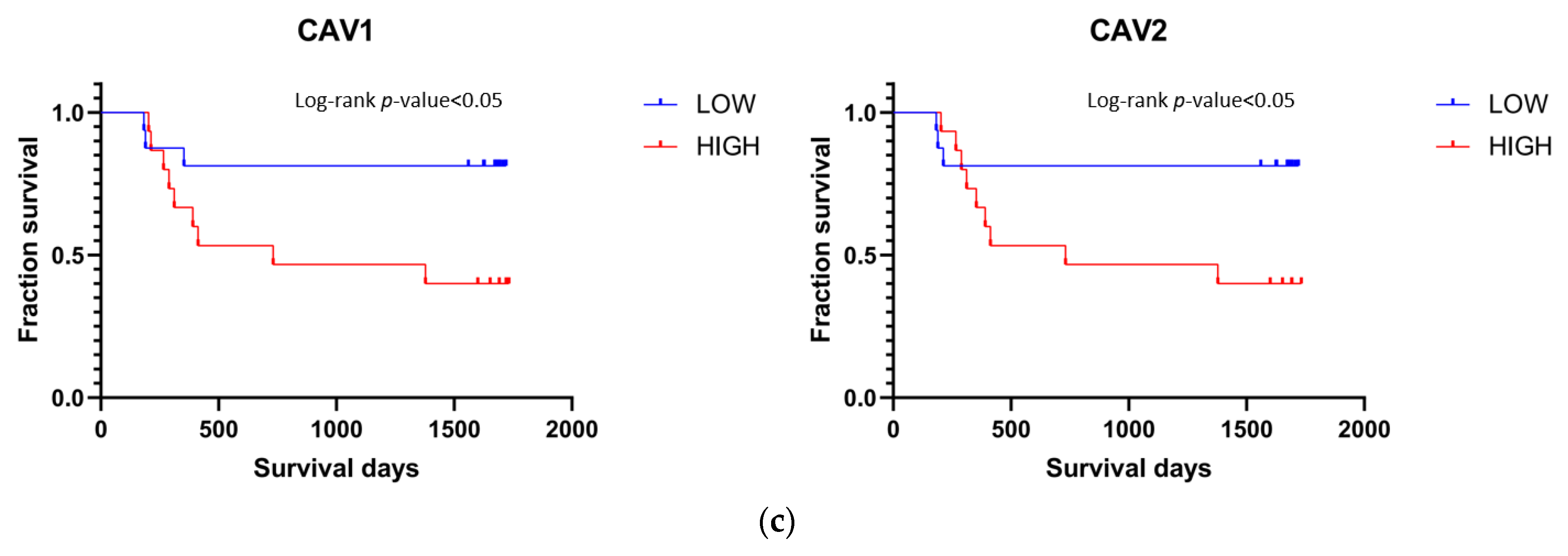 Prognostic Value of CAV1 and CAV2 in Head and Neck Squamous Cell Carcinoma