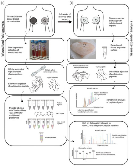 Quantitative Proteomic Characterization of Foreign Body Response ...