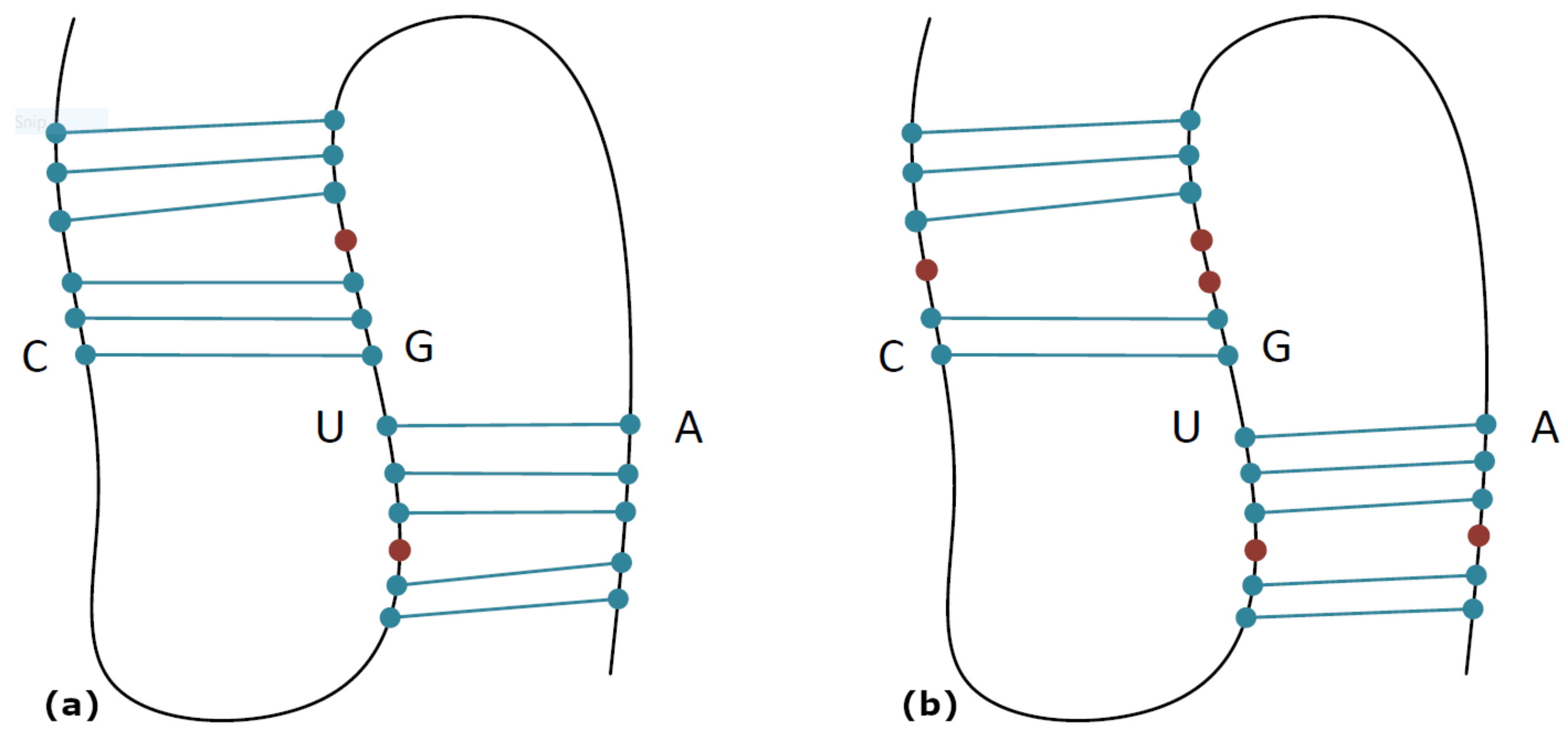 Knotify+: Toward the Prediction of RNA H-Type Pseudoknots, Including Bulges and Internal Loops