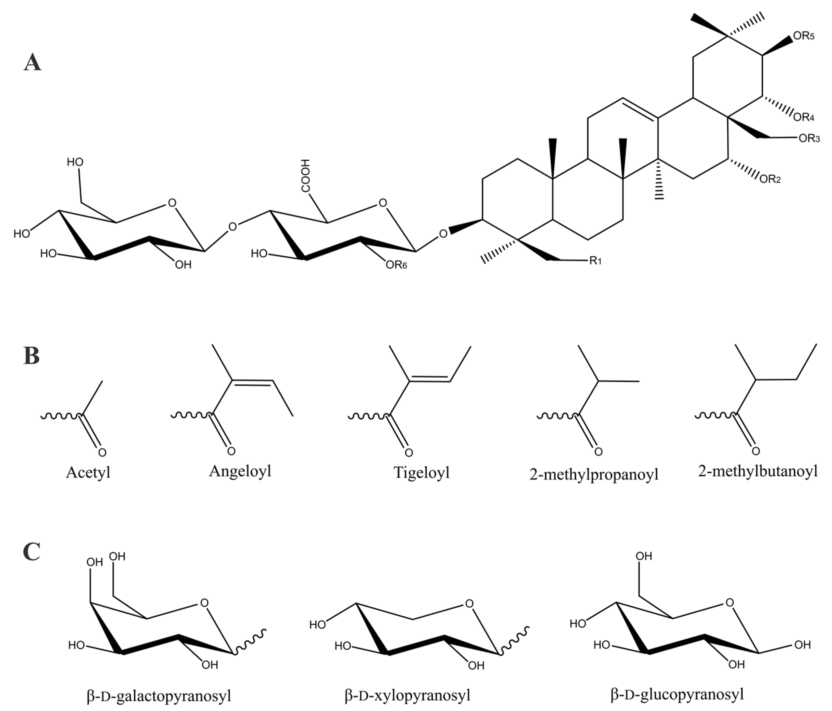 Escin’s Multifaceted Therapeutic Profile in Treatment and Post ...