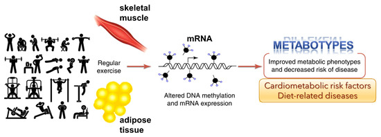 Restoring Epigenetic Reprogramming with Diet and Exercise to Improve ...