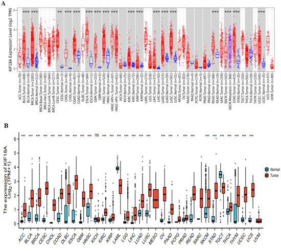 Comprehensive Pan-Cancer Analysis of KIF18A as a Marker for Prognosis ...