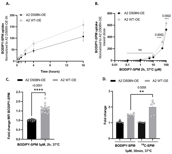 Novel Green Fluorescent Polyamines to Analyze ATP13A2 and ATP13A3 ...