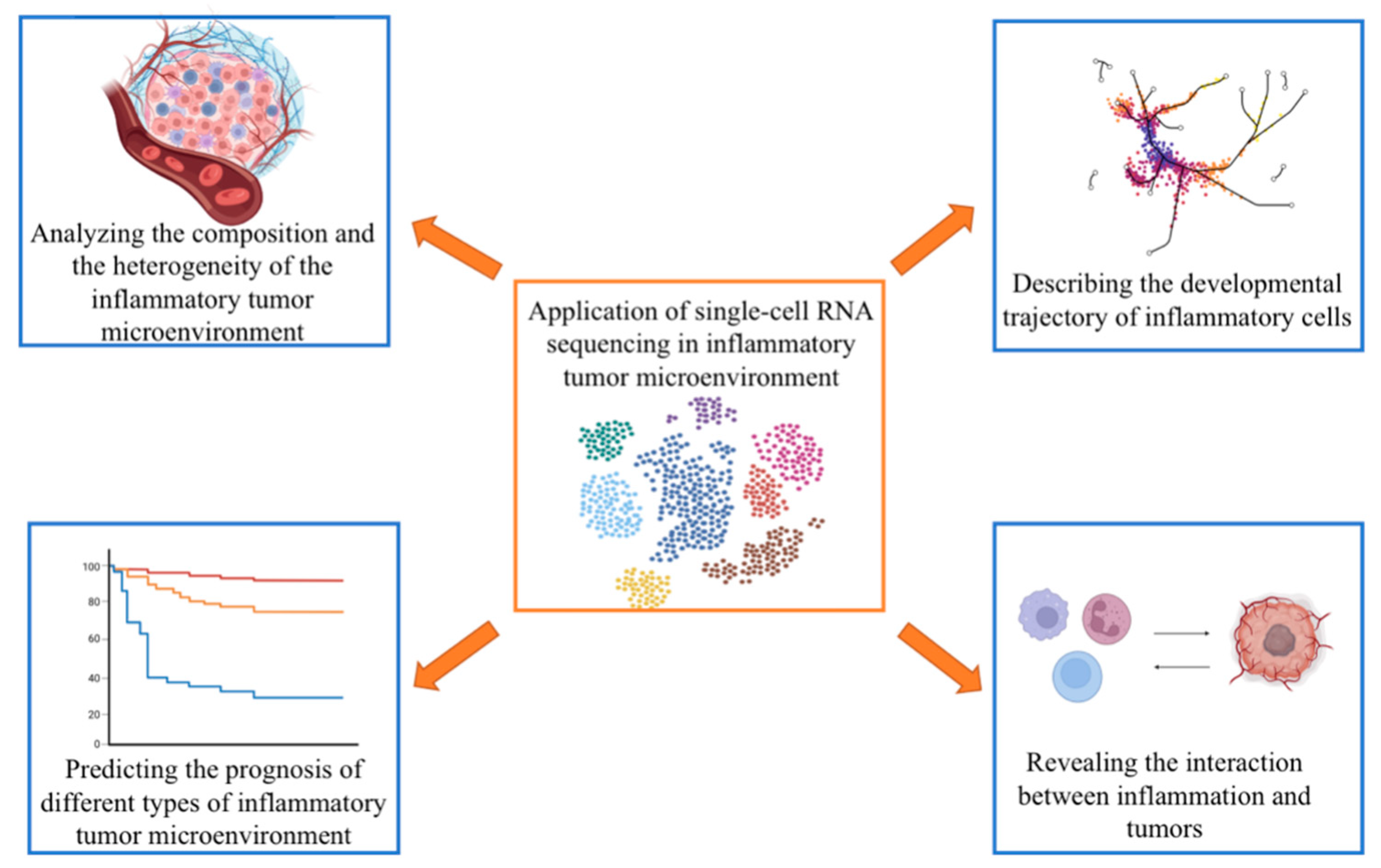 Biomolecules Free Full Text The Application Of Single Cell Rna