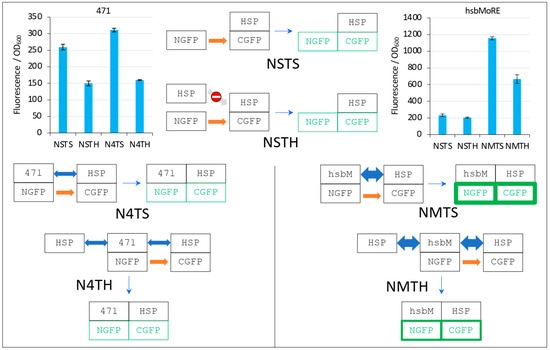 In Vivo Protein–Protein Binding Competition Assay Based on Split-GFP ...
