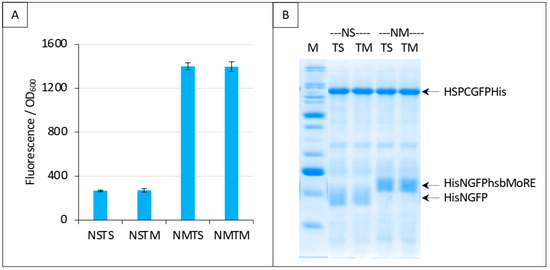 In Vivo Protein–Protein Binding Competition Assay Based on Split-GFP ...