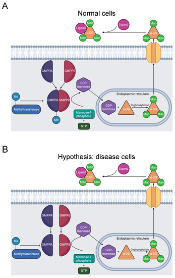 Systematic Assessment of Protein C-Termini Mutated in Human Disorders