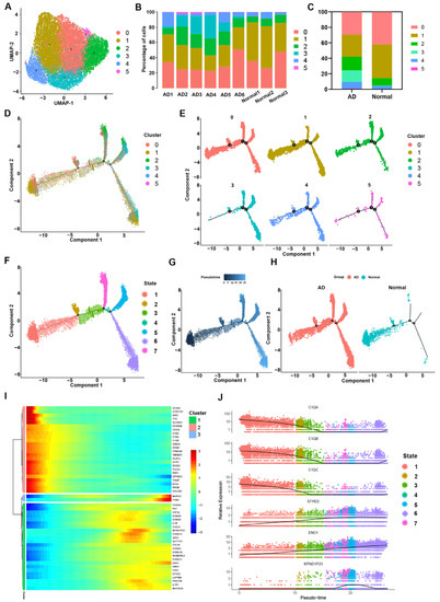 Single-Cell RNA-Seq Analysis Reveals Macrophages Are Involved in the ...