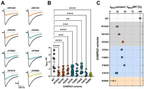GABRG2 Variants Associated with Febrile Seizures
