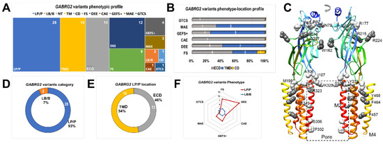 GABRG2 Variants Associated with Febrile Seizures