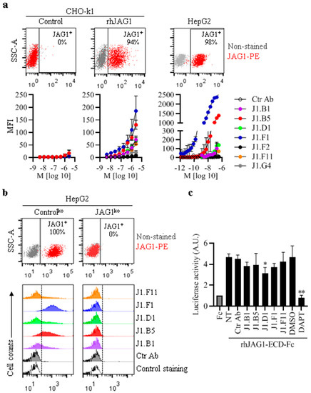 Novel scFv against Notch Ligand JAG1 Suitable for Development of Cell ...
