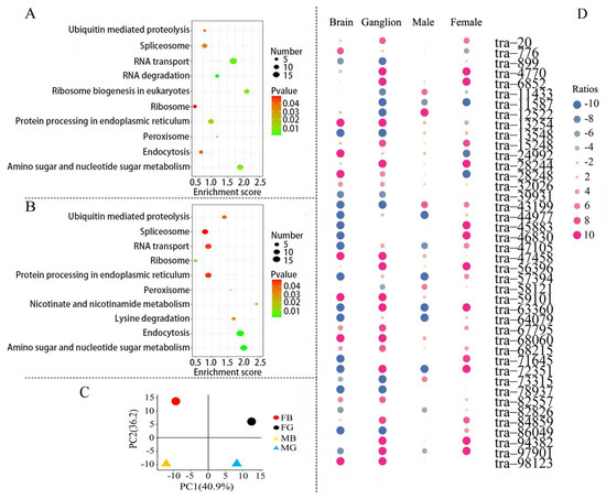 Biomolecules Free Full Text Full Length Transcriptomes And Sex