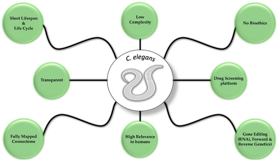 Caenorhabditis elegans as a Model System to Study Human ...