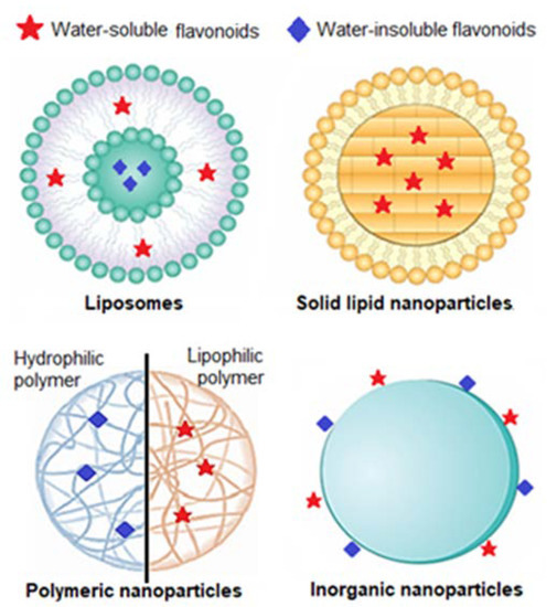 The Impact of Flavonoid-Loaded Nanoparticles in the UV Protection and ...
