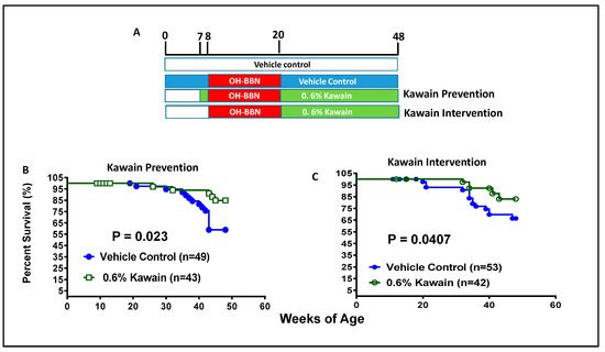 Kawain Inhibits Urinary Bladder Carcinogenesis through Epigenetic ...