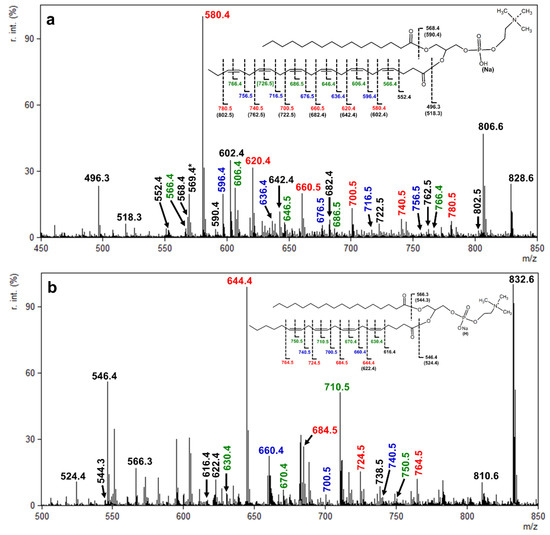 A Five-Year Update on Matrix Compounds for MALDI-MS Analysis of Lipids