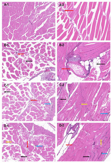 Roles of miR-196a and miR-196b in Zebrafish Motor Function