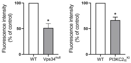 Exploring the Role of PI3P in Platelets: Insights from a Novel External ...