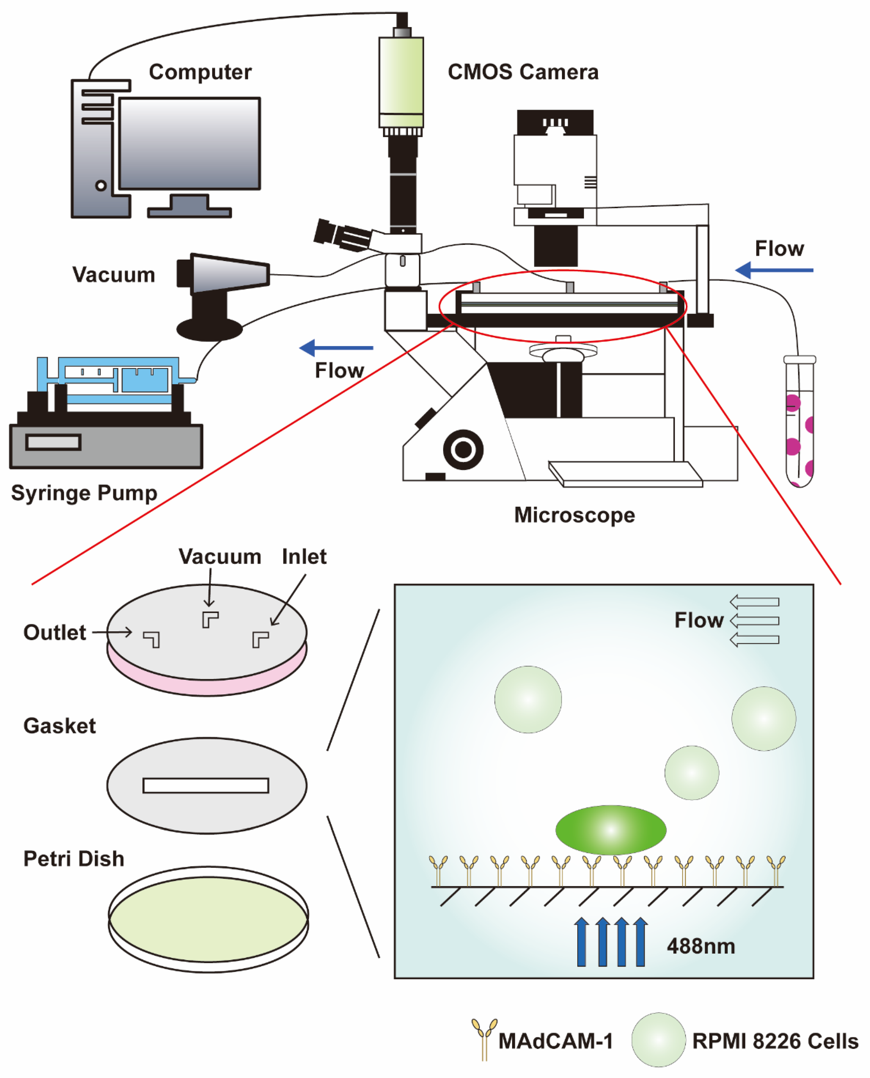 Force-Regulated Calcium Signaling of Lymphoid Cell RPMI 8226 Mediated ...