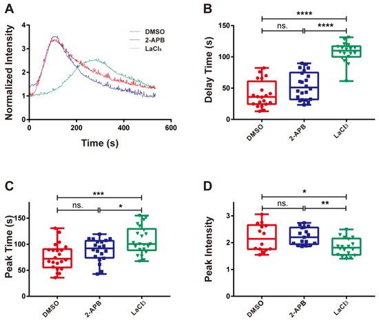 Force-Regulated Calcium Signaling of Lymphoid Cell RPMI 8226 Mediated ...