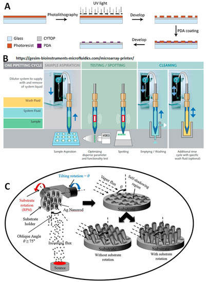 Biomolecules | Free Full-Text | Recent Progress in Development and Application of DNA, Protein ...