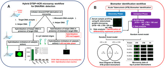 Recent Progress in Development and Application of DNA, Protein, Peptide ...