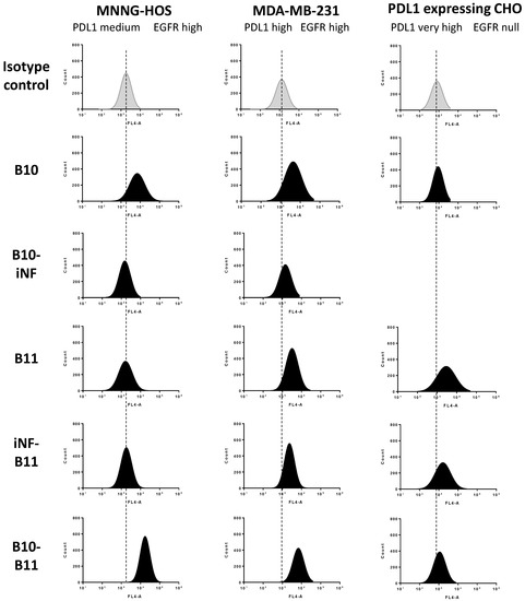 Engineering of a Bispecific Nanofitin with Immune Checkpoint Inhibitory ...