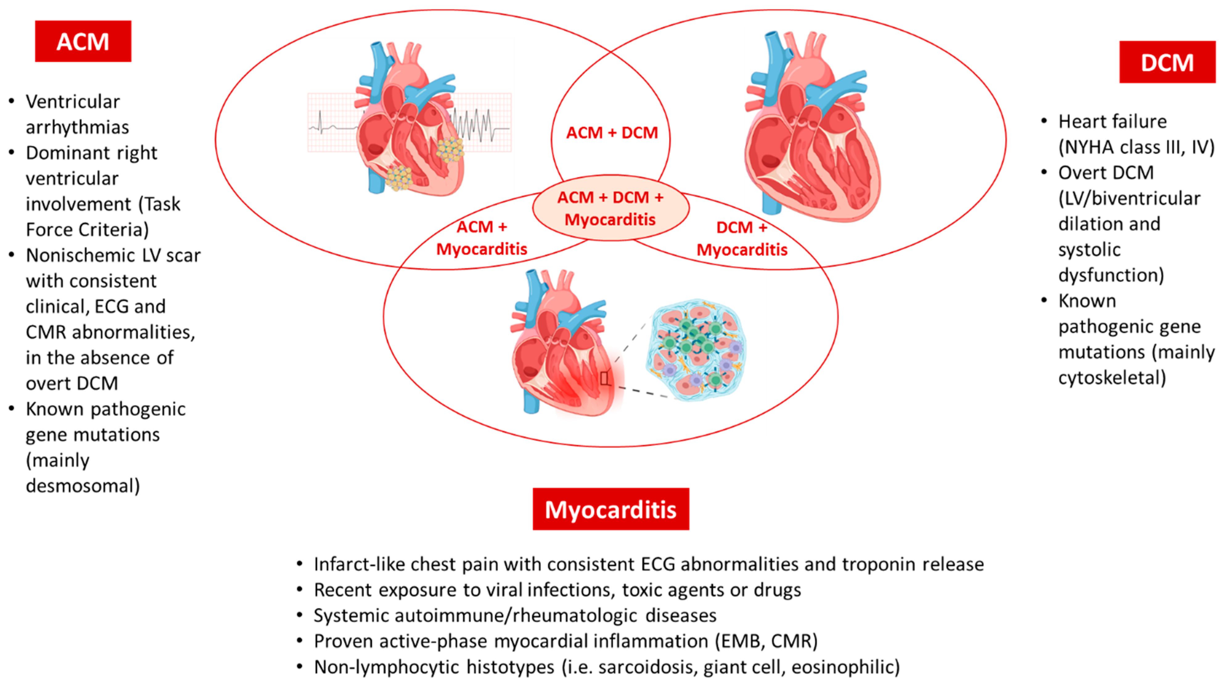 Biomolecules | Free Full-Text | Myocardial Inflammation as a ...