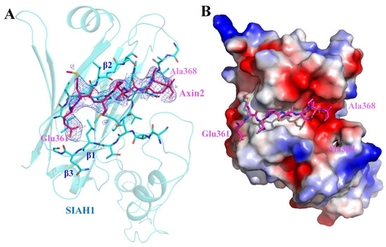 Structural Basis of the Interaction between Human Axin2 and SIAH1 in ...