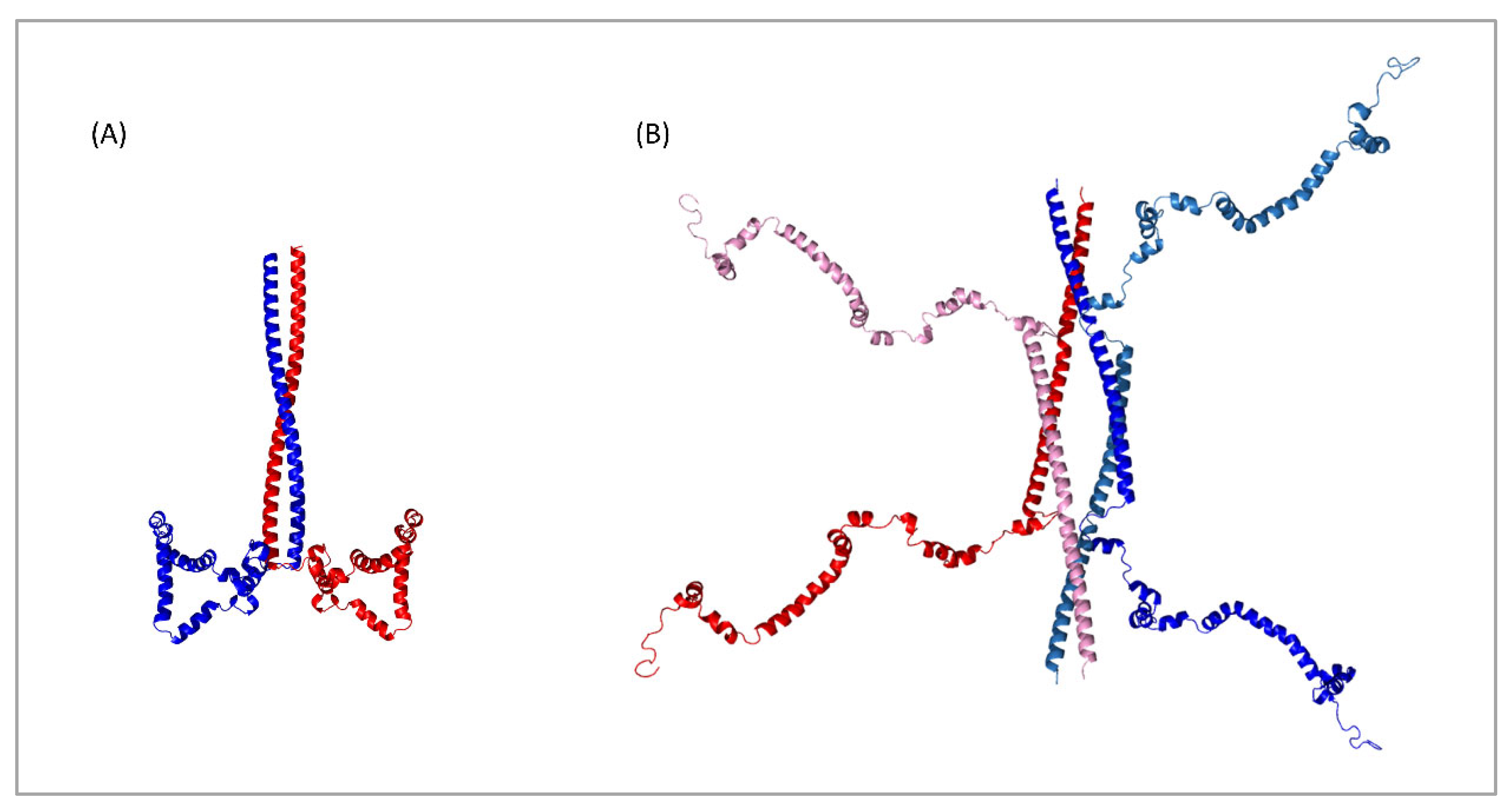 Biomolecules | Free Full-Text | Enhancing the Conformational Stability ...