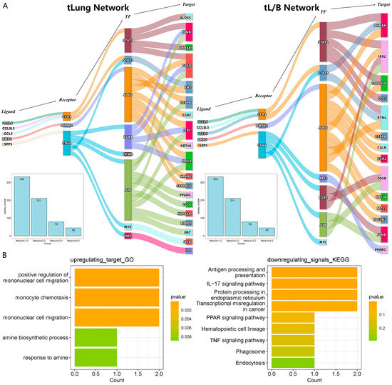 Single-Cell RNA Sequencing Analysis of Gene Regulatory Network Changes ...