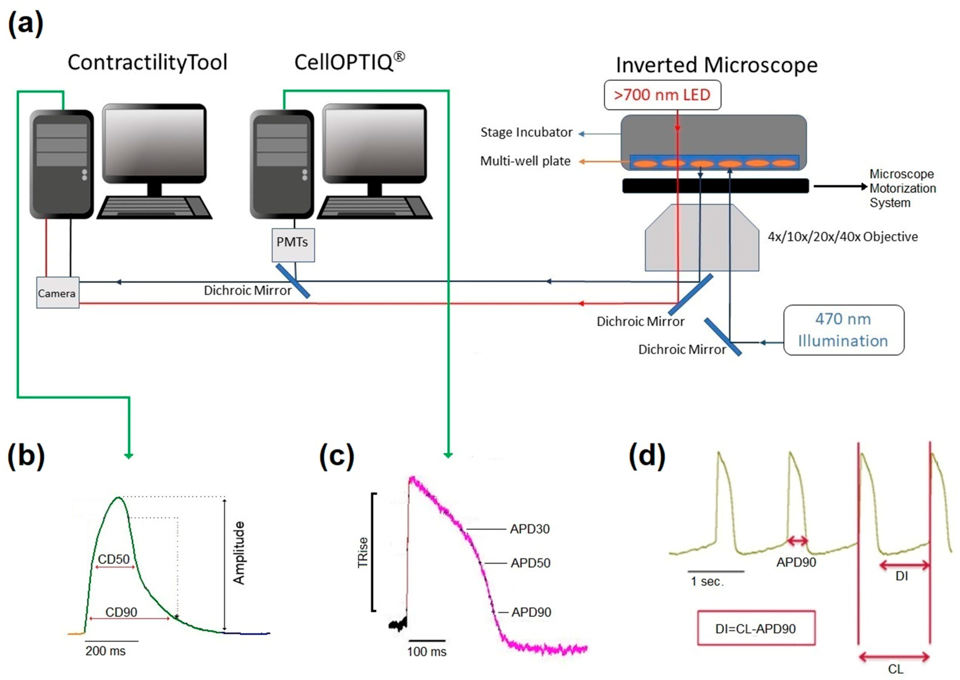 Does Enhanced Structural Maturity of hiPSC-Cardiomyocytes Better for ...