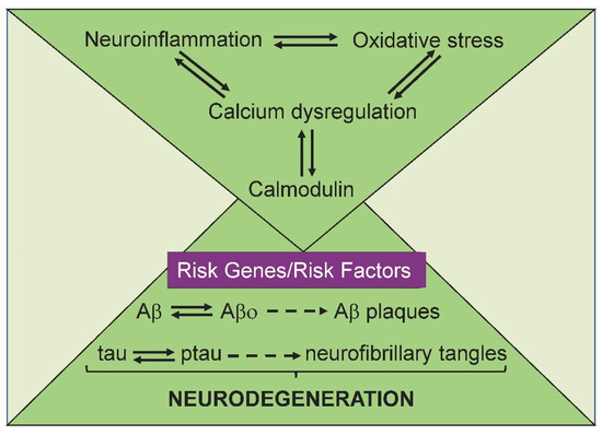 Phytochemical Interactions with Calmodulin and Critical Calmodulin Binding Proteins Involved in ...