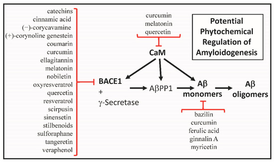 Phytochemical Interactions with Calmodulin and Critical Calmodulin Binding Proteins Involved in ...