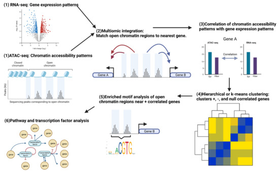 Biomolecules | Free Full-Text | Multiomics Analysis Reveals Novel ...