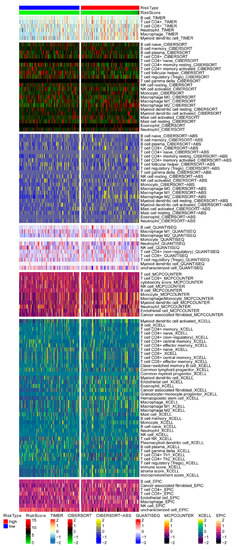 Epigenetic and Tumor Microenvironment for Prognosis of Patients with ...