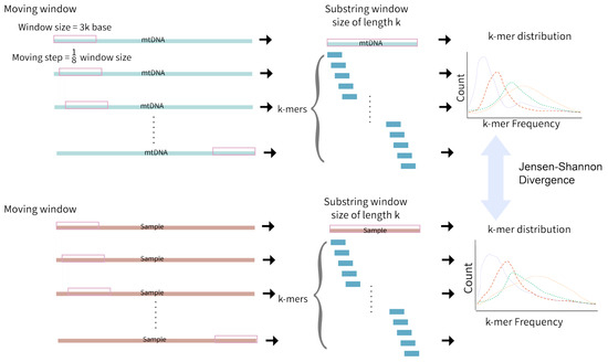 The Mighty NUMT: Mitochondrial DNA Flexing Its Code in the Nuclear Genome
