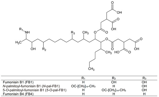 Interaction of Fumonisin B1, N-Palmitoyl-Fumonisin B1, 5-O-Palmitoyl ...