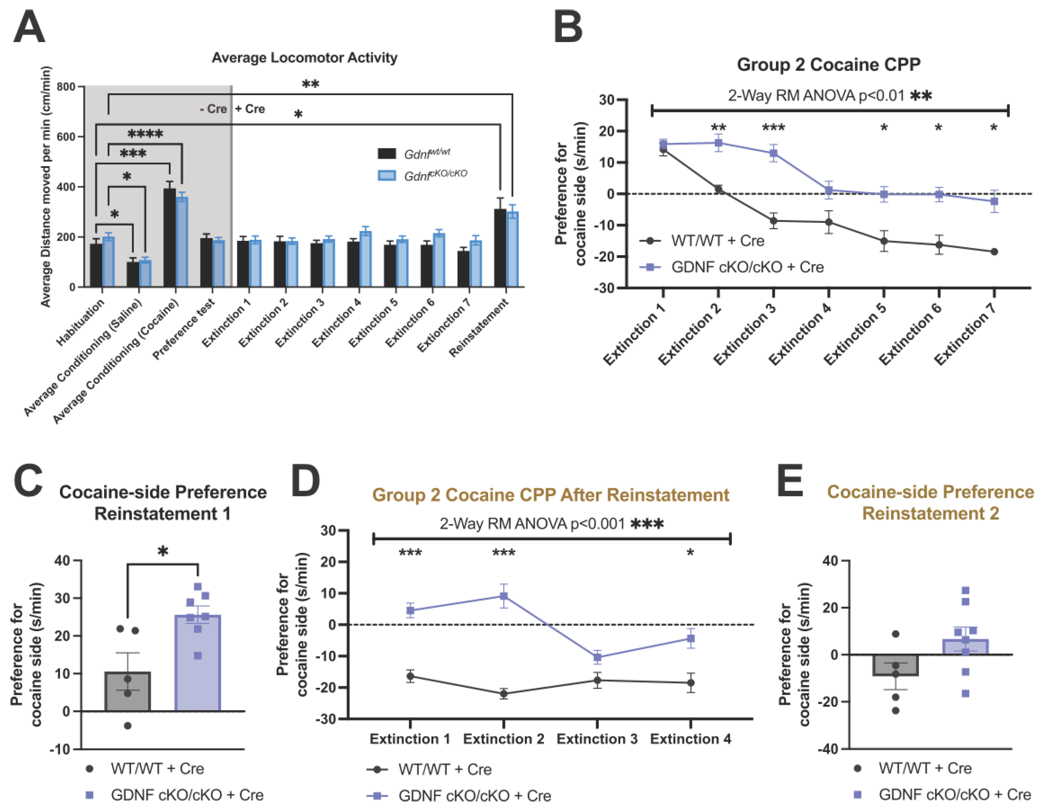 Opposing Spatially Segregated Function of Endogenous GDNF-RET Signaling ...