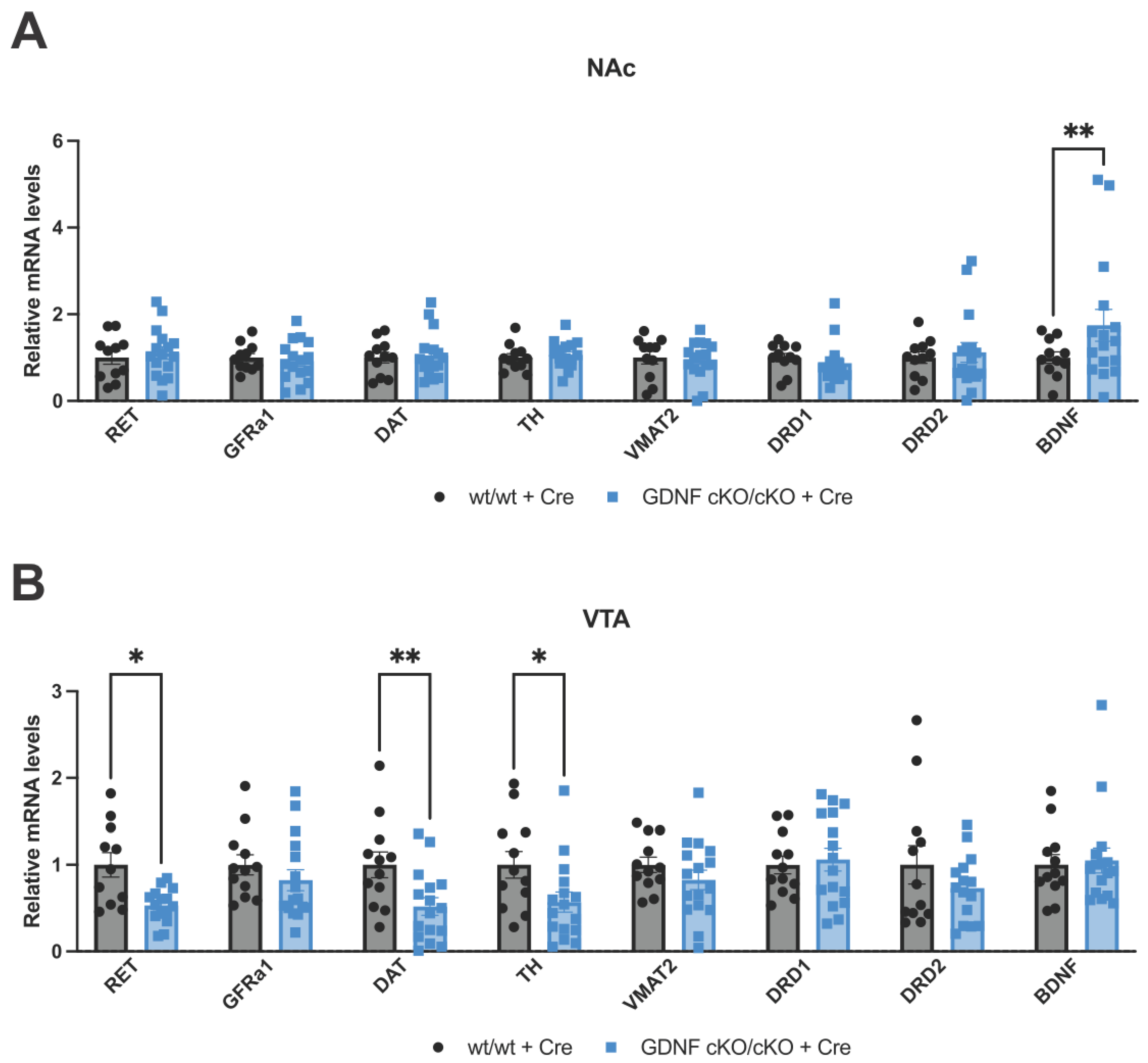 Opposing Spatially Segregated Function of Endogenous GDNF-RET Signaling ...