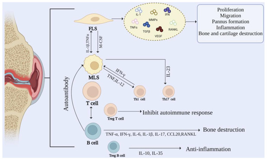 New Targets and Strategies for Rheumatoid Arthritis: From Signal ...