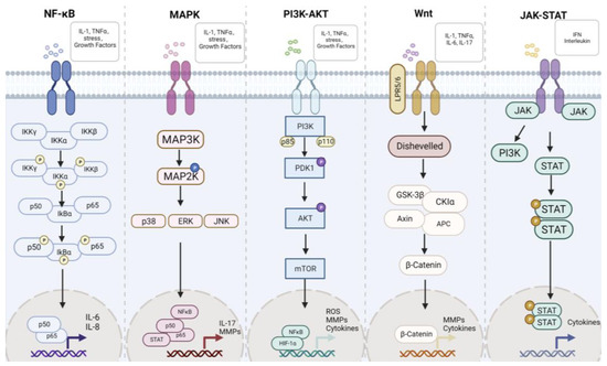 New Targets and Strategies for Rheumatoid Arthritis: From Signal Transduction to Epigenetic Aspect