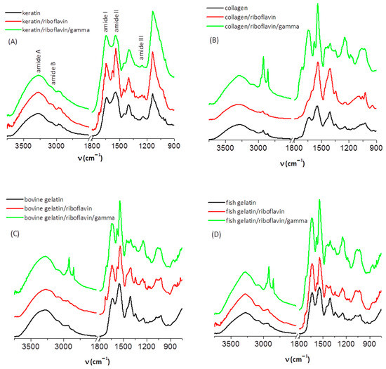 Physico-Chemical Changes Induced by Gamma Irradiation on Some Structural Protein Extracts
