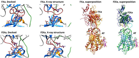 The Interaction Of Factor Xa And Ixa With Non Activated Antithrombin In Michaelis Complex