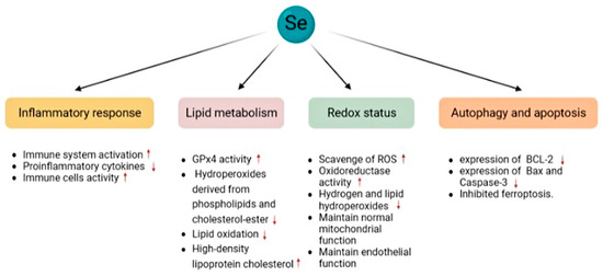 Selenium And Selenoproteins In Health