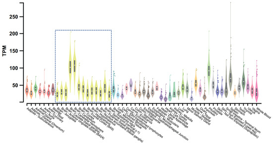 Transmembrane Protein 175, a Lysosomal Ion Channel Related to Parkinson ...