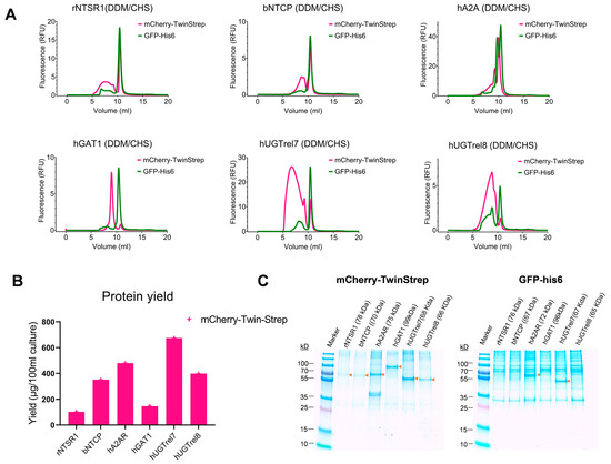 Screening of Membrane Protein Production by Comparison of Transient ...